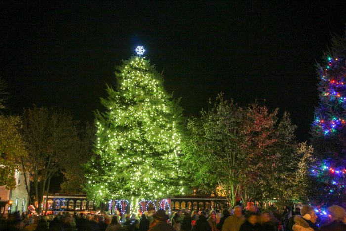 Christmas Tree Lightings In Cape May County 2022 | TERESA DIPESO JERSEY ...